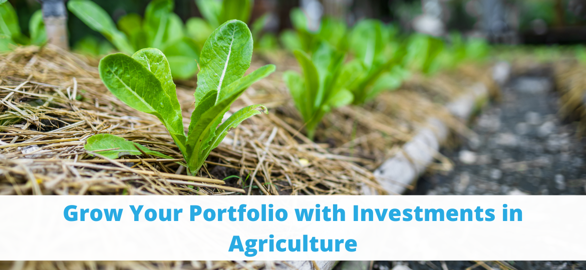 Grow Your Portfolio with Investments in Agriculture! - Caribbean ...