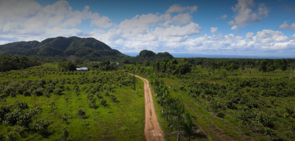 Embracing Sustainability in Chocolate Farming - Caribbean Capital Group